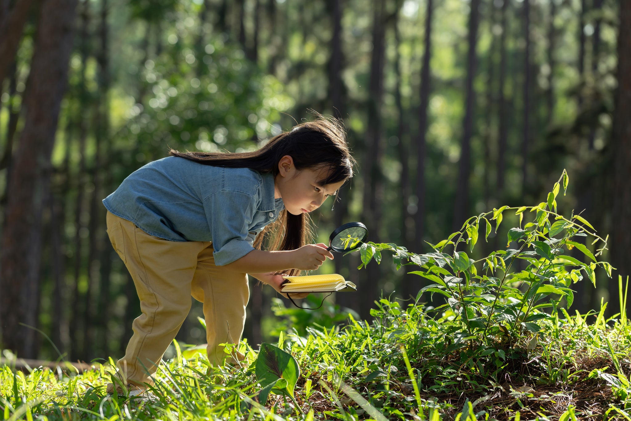 Let’s Go! Little Ecologists (Day Camp) – AISL Outdoor